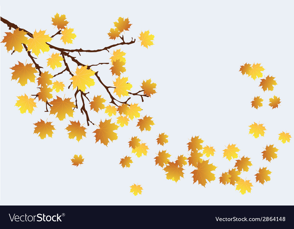Fall branch Royalty Free Vector Image - VectorStock