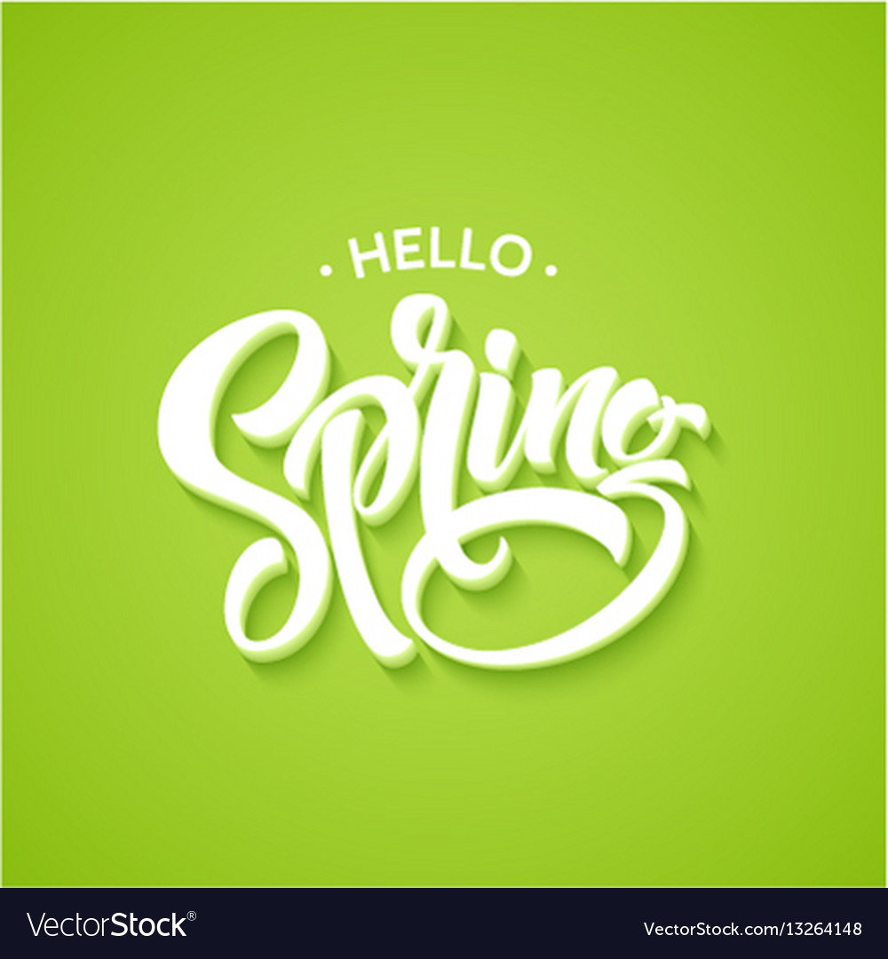 Hello spring phrase lettering hand drawn Vector Image