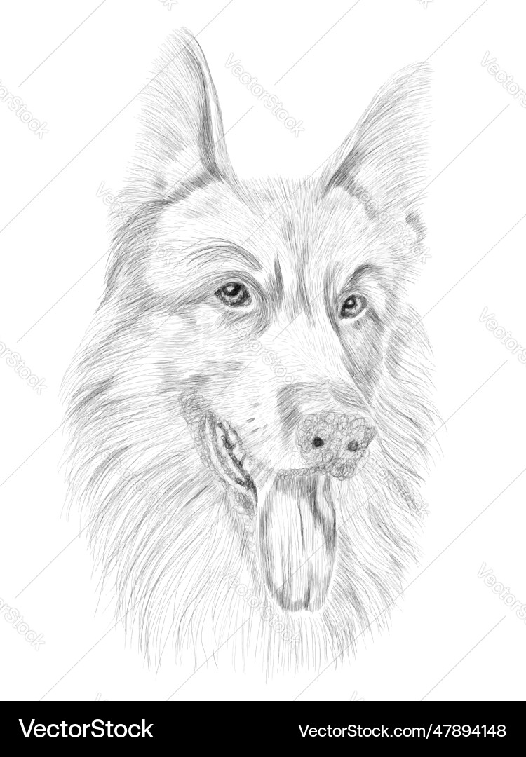 Scribble art golden retriever dog torso hand drawn