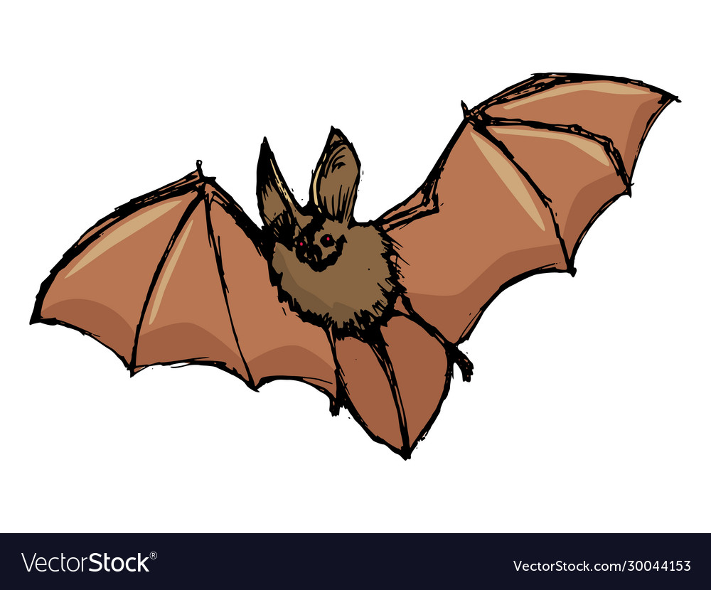 Flying bat Royalty Free Vector Image - VectorStock