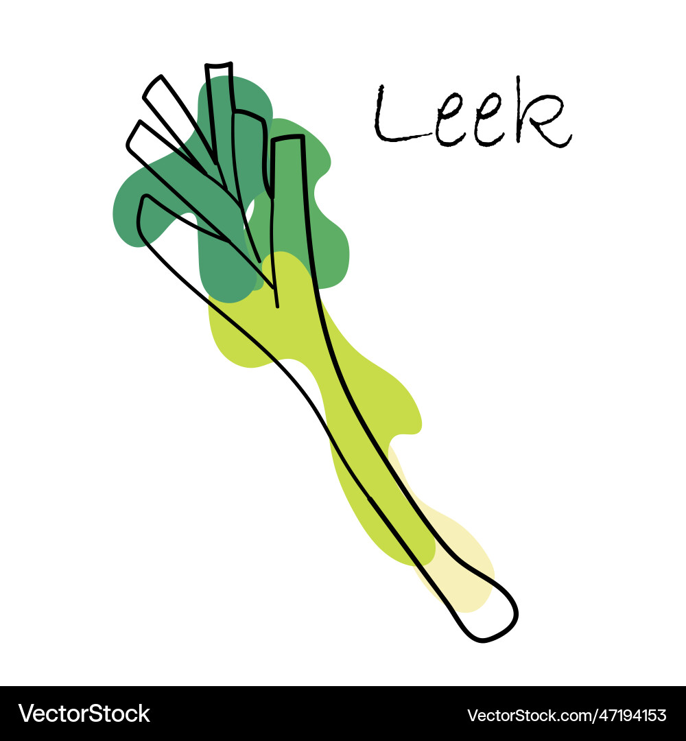 Leek drawing icon vegetable in retro style Vector Image