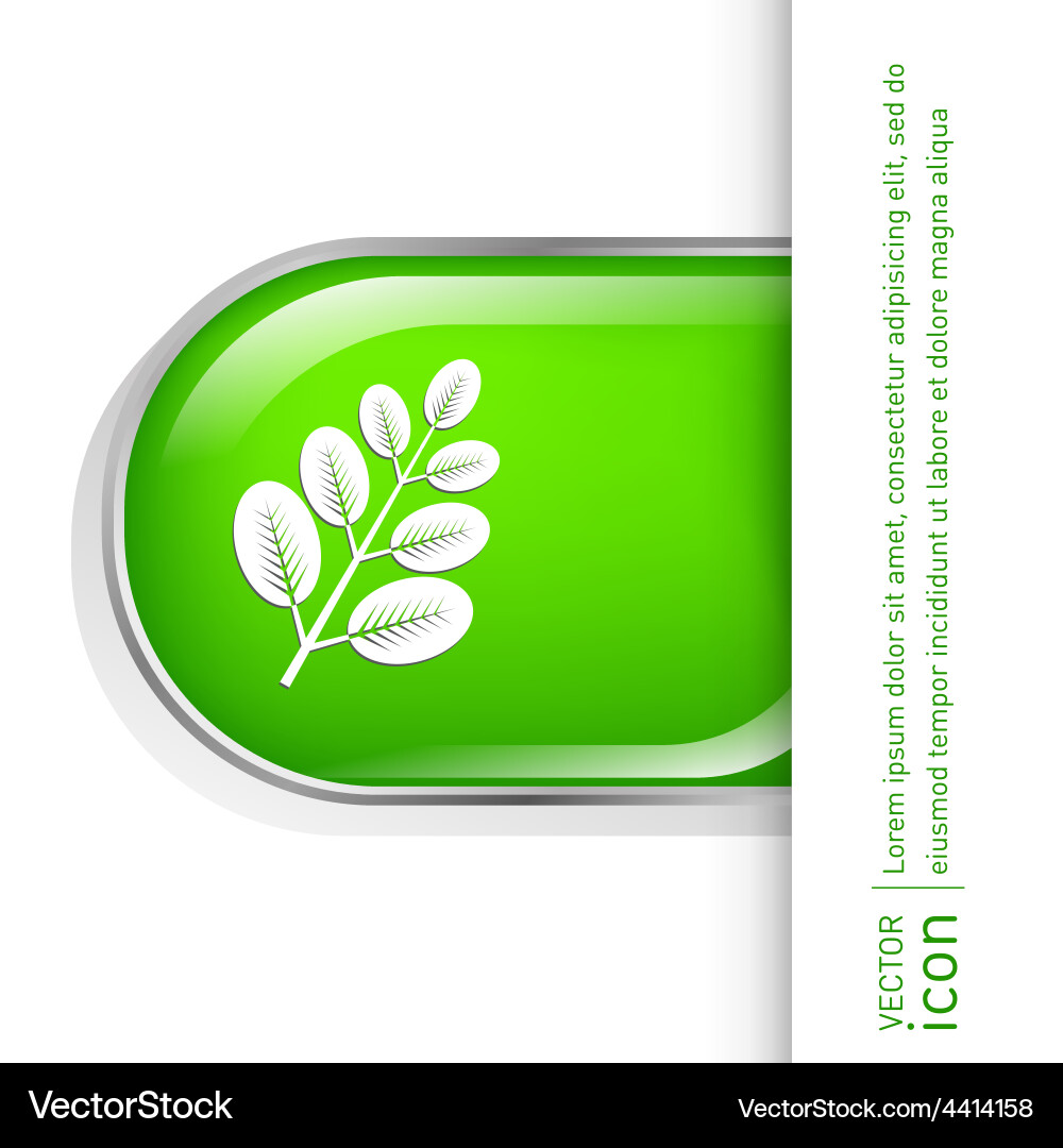 Branch with leaves symbol icon geometry teaching Vector Image