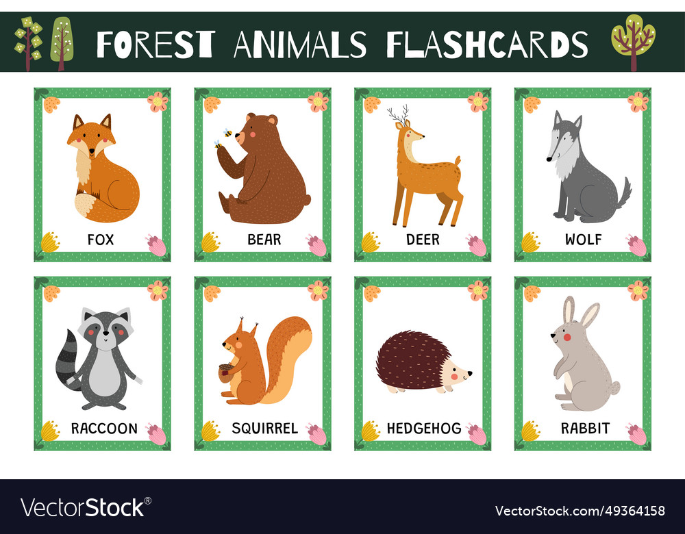 Forest animals flashcards collection for kids Vector Image