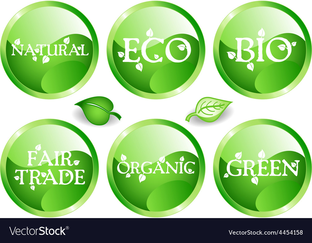 Green web glossy buttons Royalty Free Vector Image