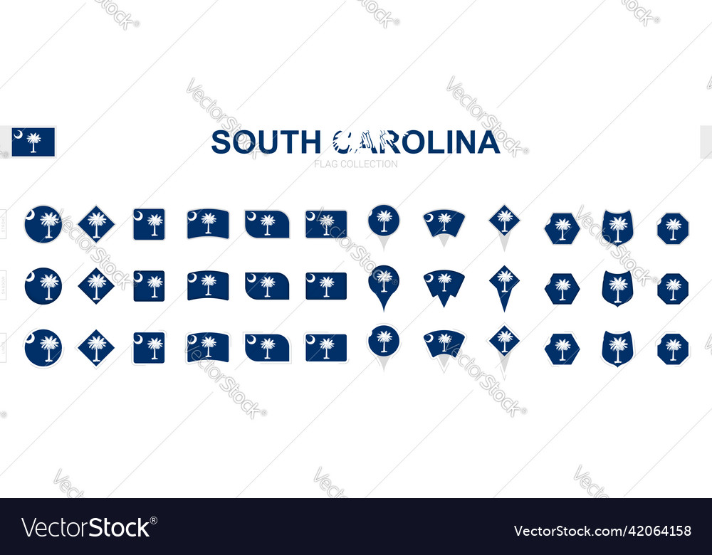 Large collection of south carolina flags Vector Image