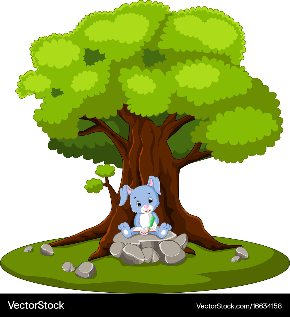 Rabbit reading book and sitting on the stone Vector Image