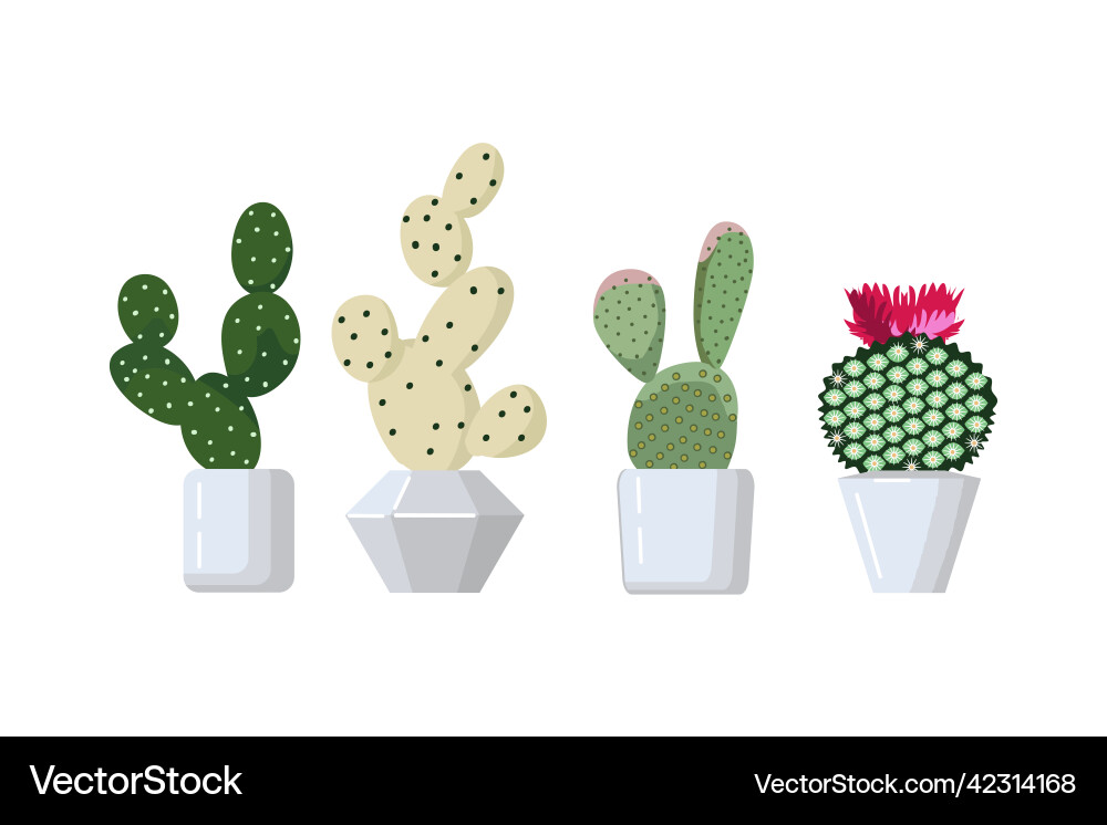 Cactus set flat cartoon Royalty Free Vector Image