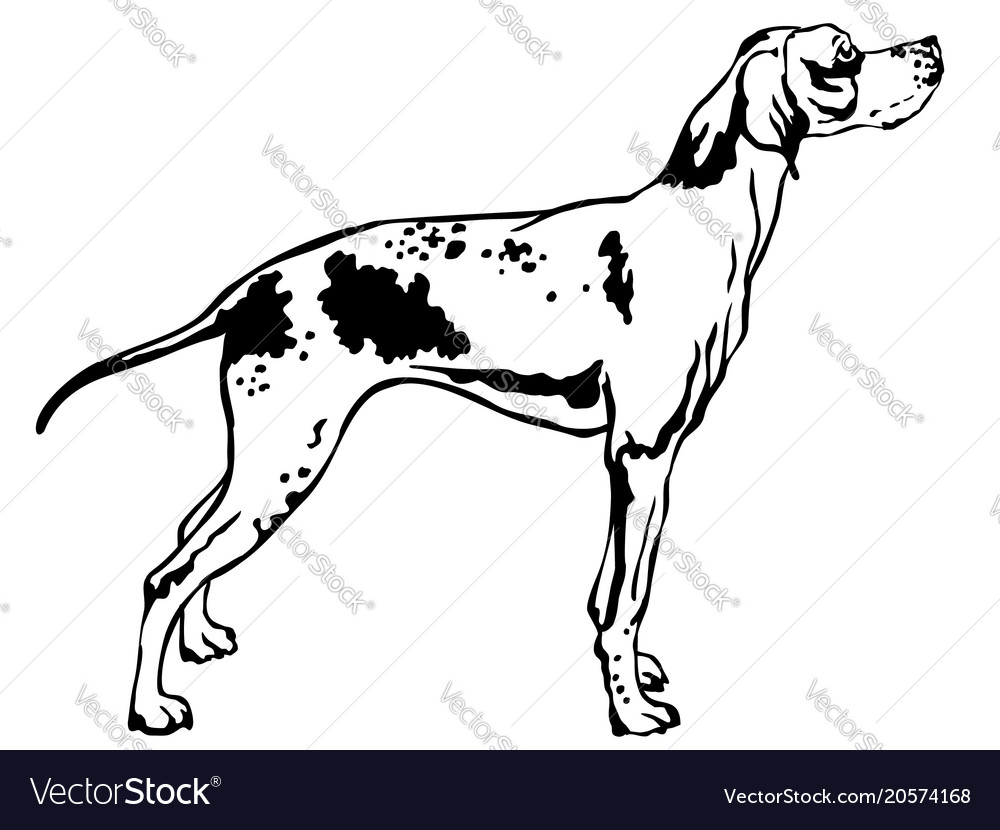 Decorative standing portrait pointer Royalty Free Vector