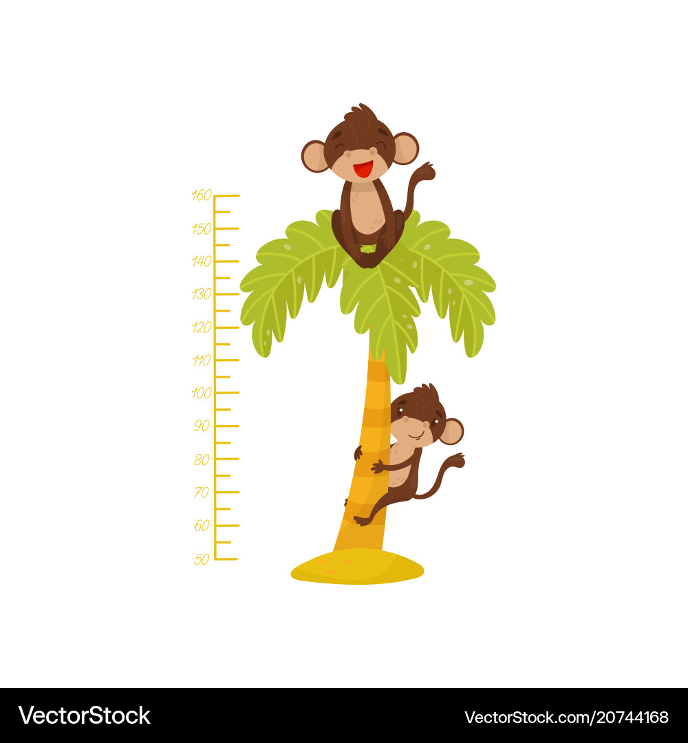 Height chart for children and funny monkeys Vector Image