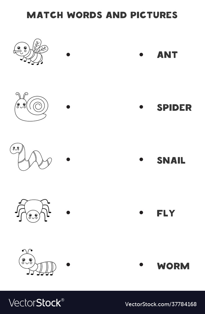 Matching insects and words educational game Vector Image