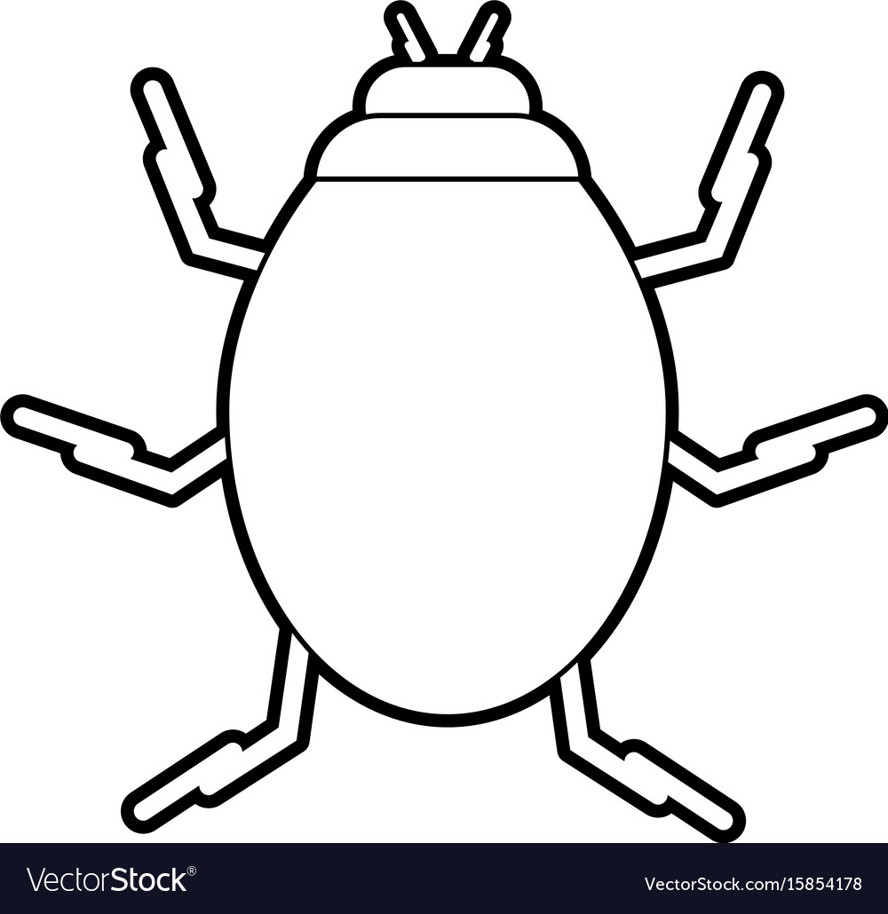 Bug Royalty Free Vector Image - VectorStock