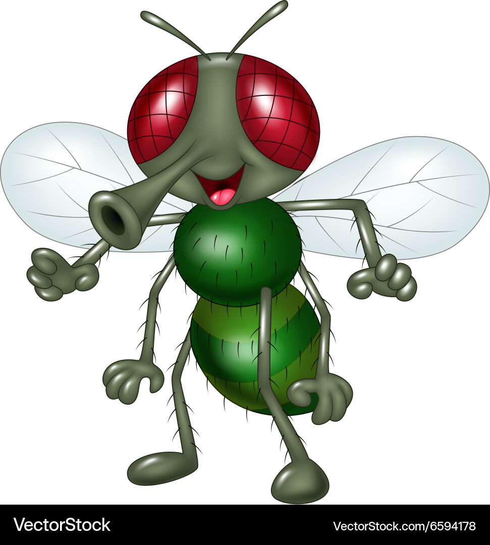 Cartoon happy fly isolated on white background Vector Image