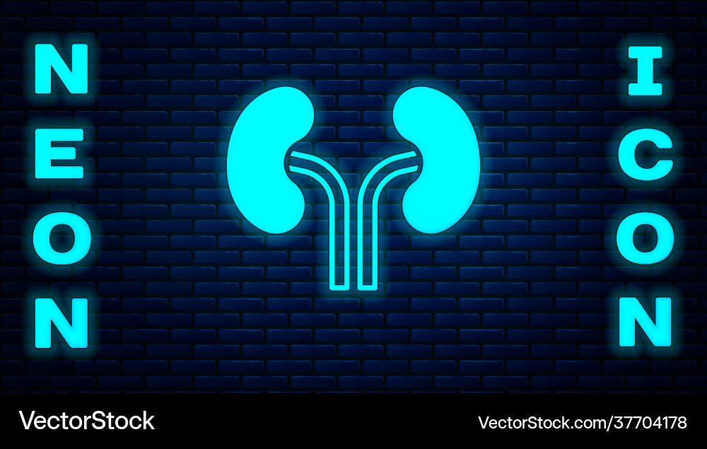 Glowing neon human kidneys icon isolated on brick Vector Image