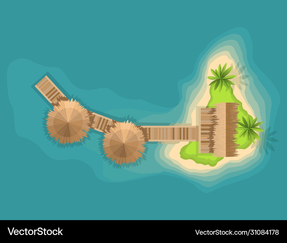 Top view island view from a height on a tropical Vector Image