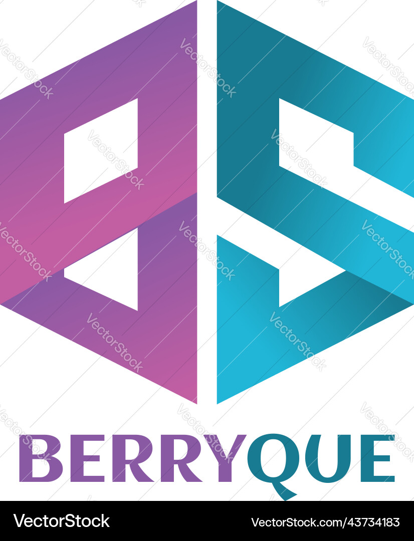 Modern 3d bs or sb letter logo design template Vector Image