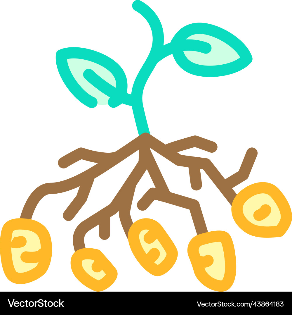 Potato bush plant color icon Royalty Free Vector Image