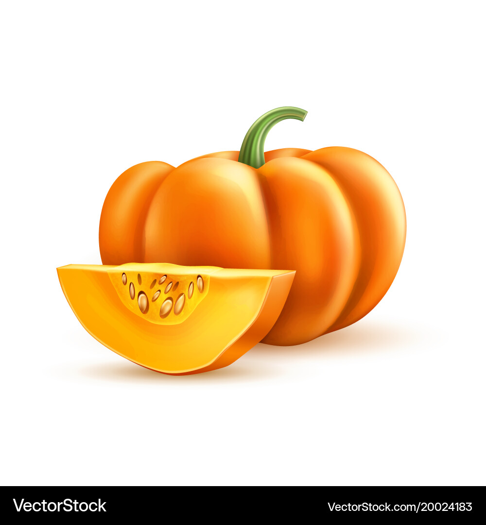 Realistic pumpkin halloween thanksgiving Vector Image