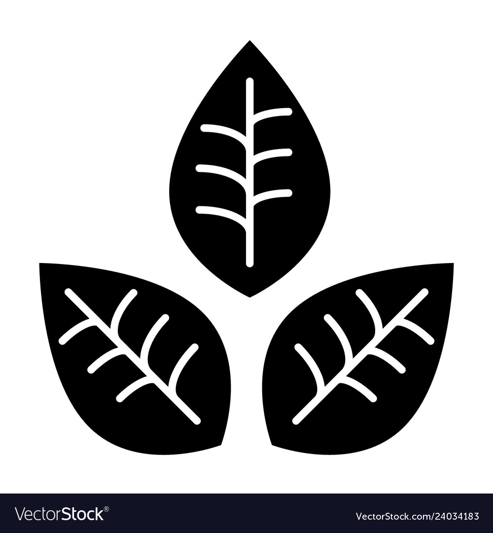 Three leaves solid icon nature Royalty Free Vector Image