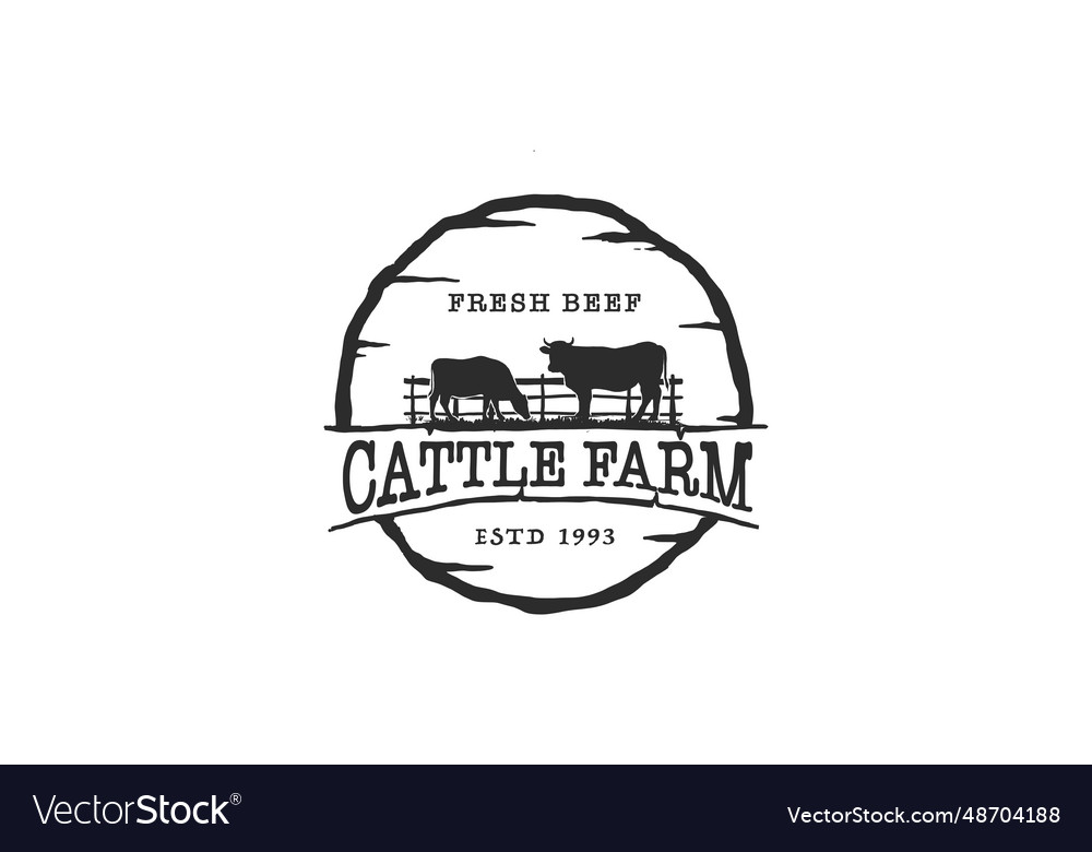 Cattle farm logo design - angus cow beef Vector Image