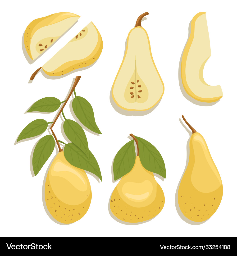 Pears collection in cartoon style bright Vector Image