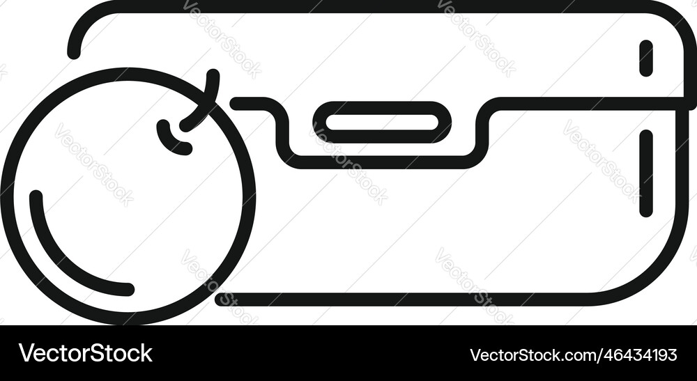Orange fruit and food box icon outline Royalty Free Vector