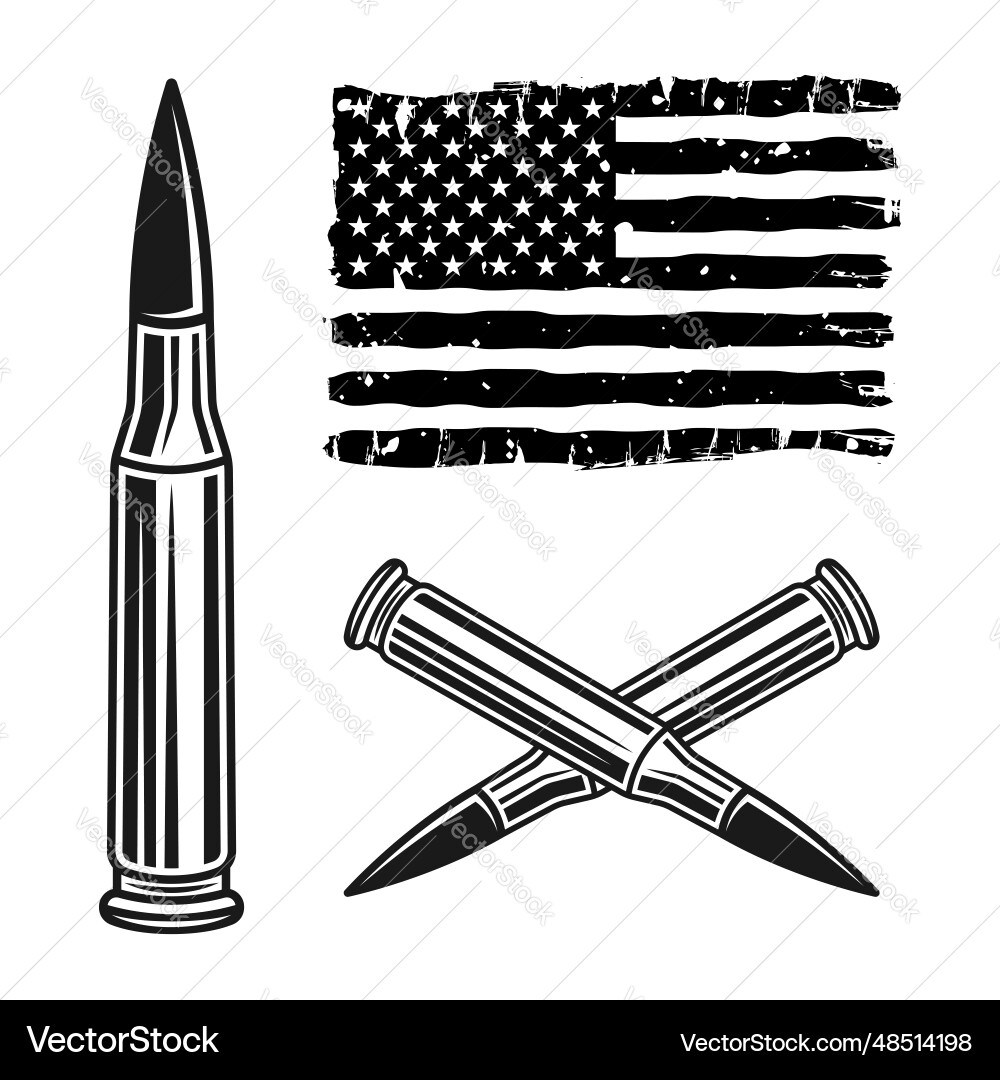 Bullets and american flag set of objects Vector Image