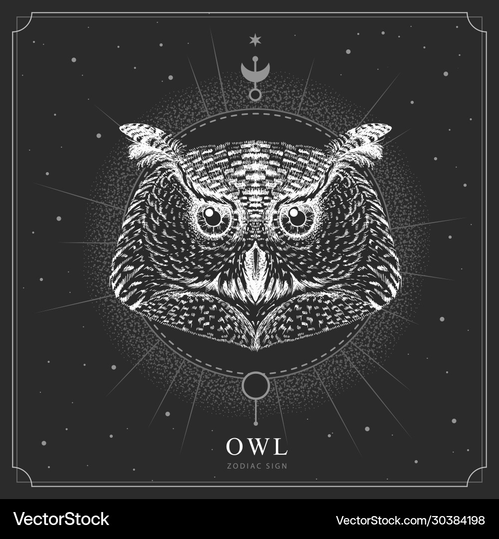 Magic witchcraft card with owl zodiac sign Vector Image