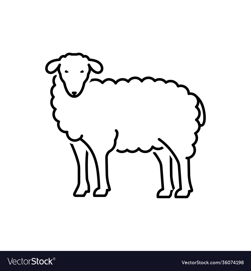 Sheep Royalty Free Vector Image - VectorStock