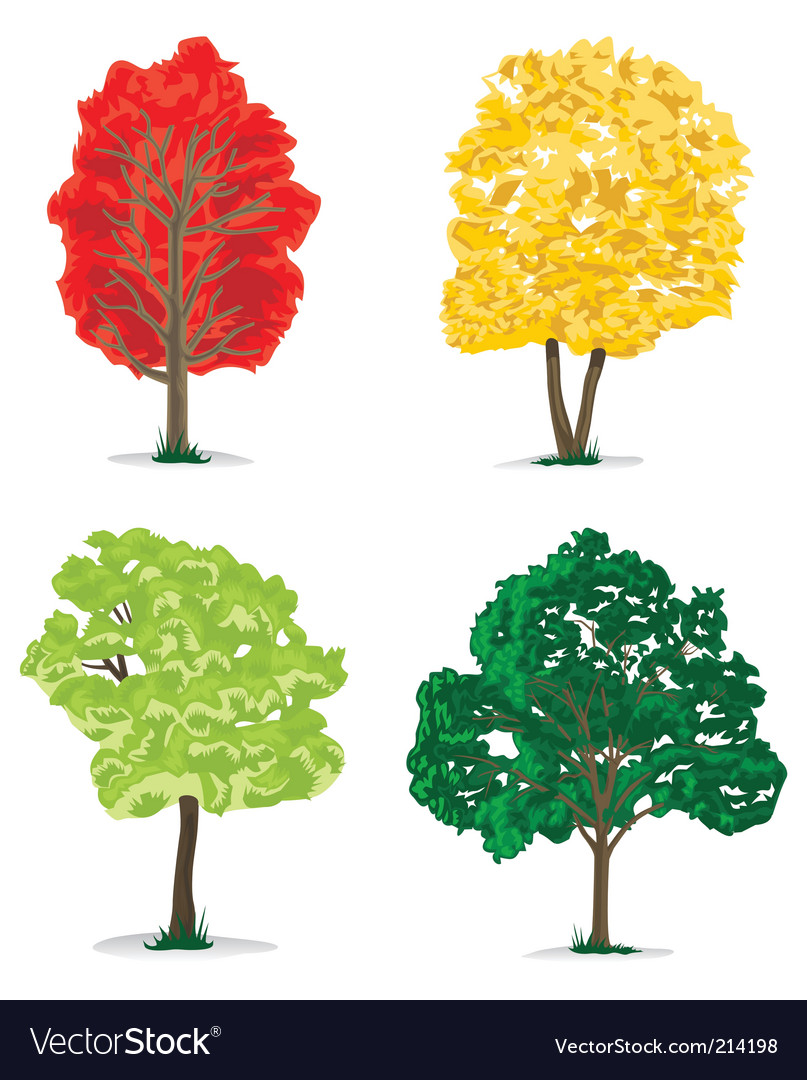 Tree Royalty Free Vector Image - VectorStock