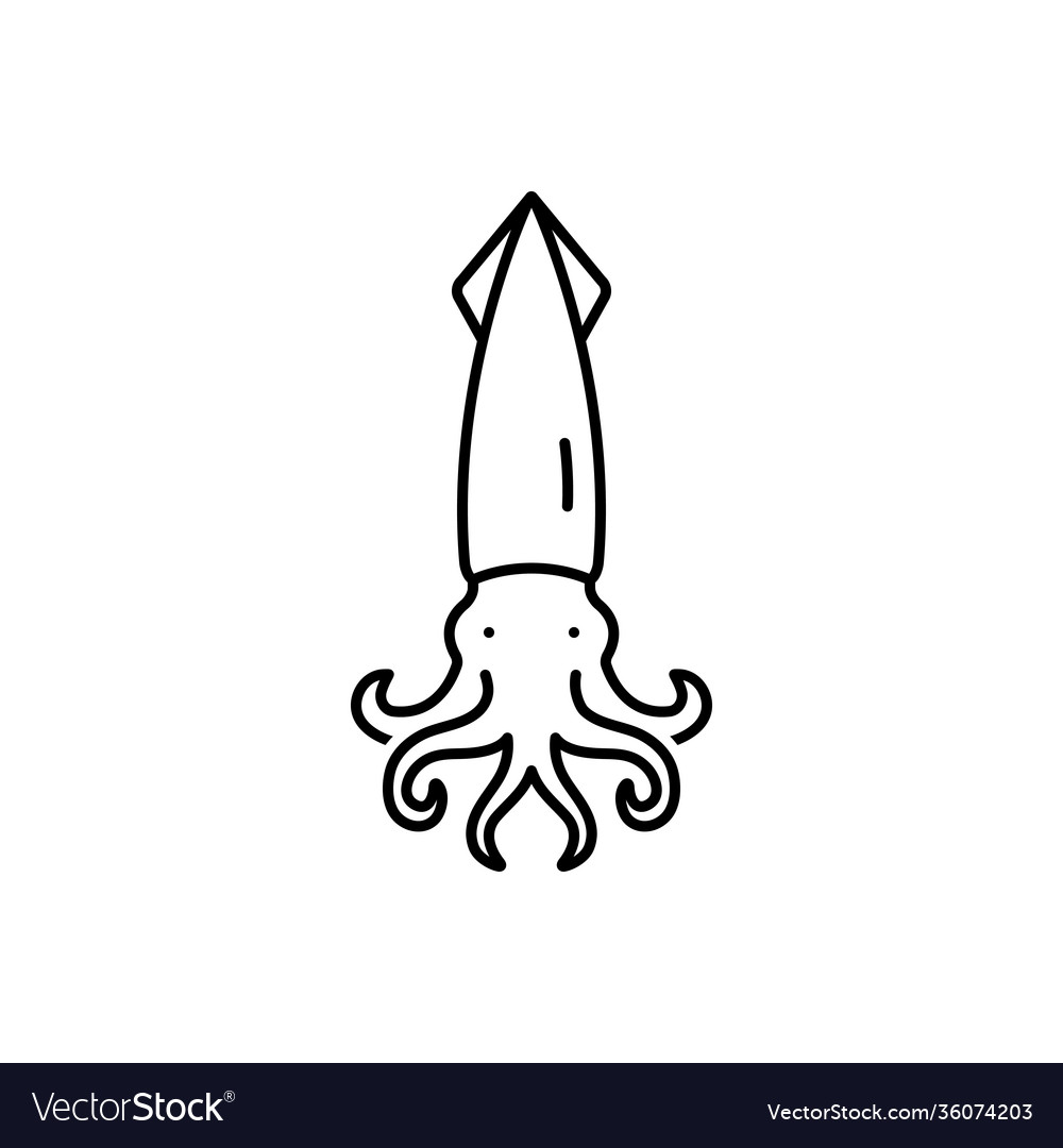 Squid Royalty Free Vector Image - VectorStock