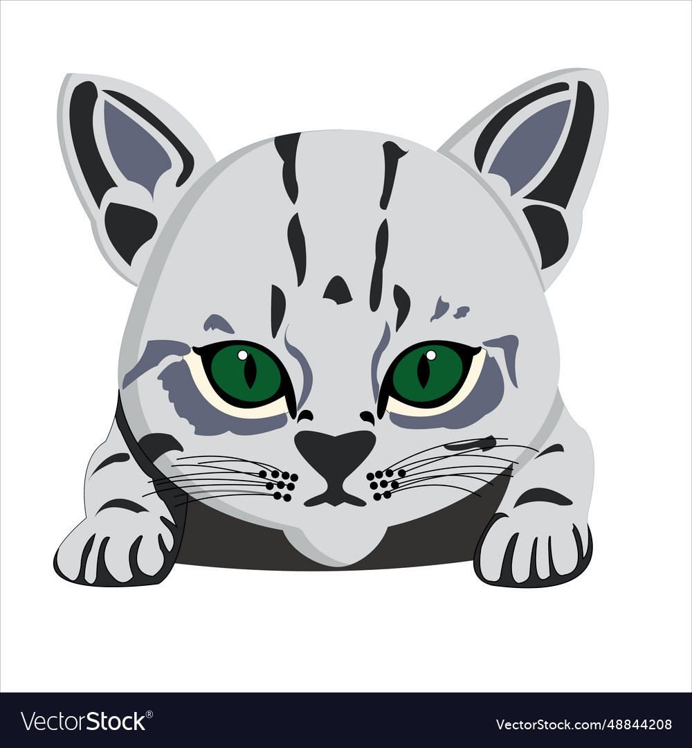 Cat Royalty Free Vector Image - VectorStock