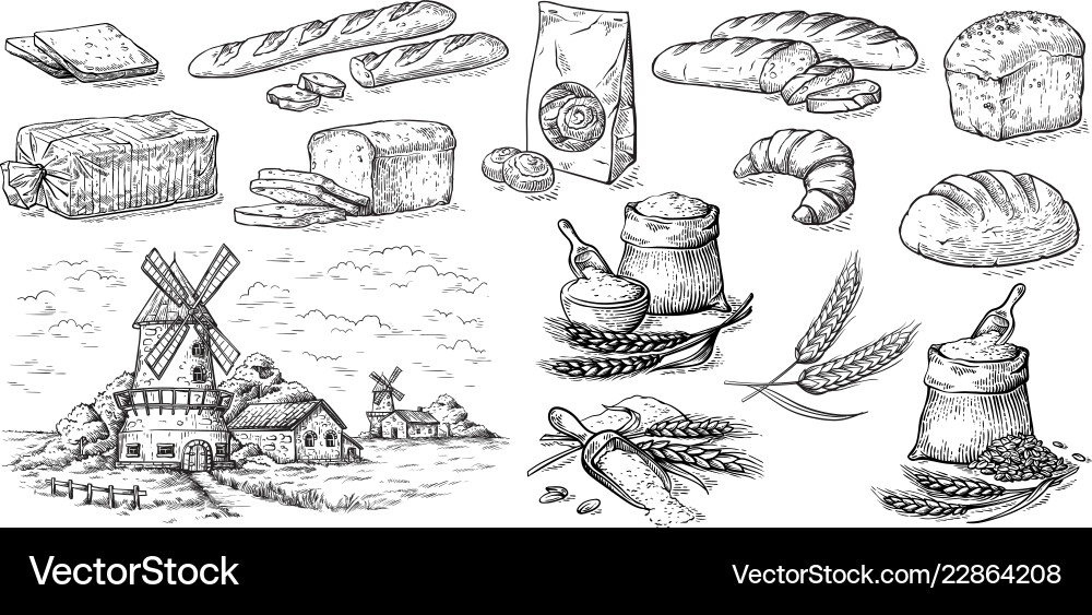 Collection of natural elements bread and flour Vector Image