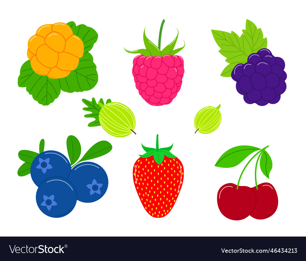 Berries Royalty Free Vector Image - VectorStock