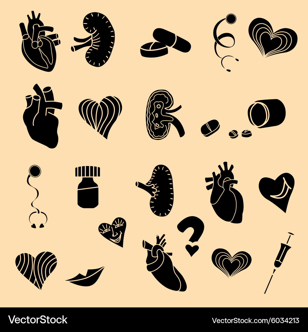 Human organs Royalty Free Vector Image - VectorStock