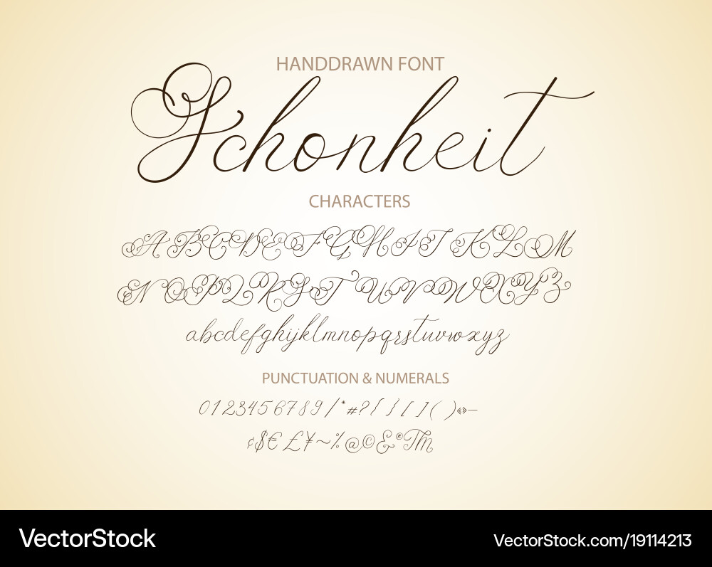 Modern calligraphic font brush painted letters Vector Image