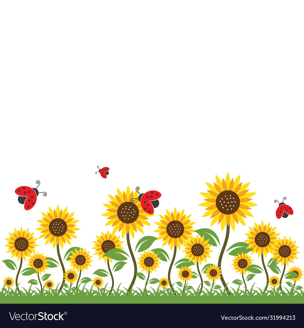 Sunflowers background Royalty Free Vector Image