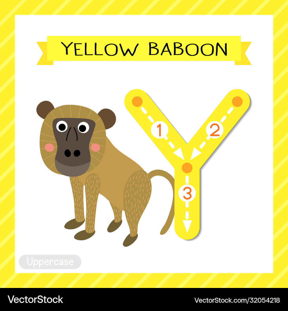 Letter y uppercase tracing yellow baboon monkey Vector Image