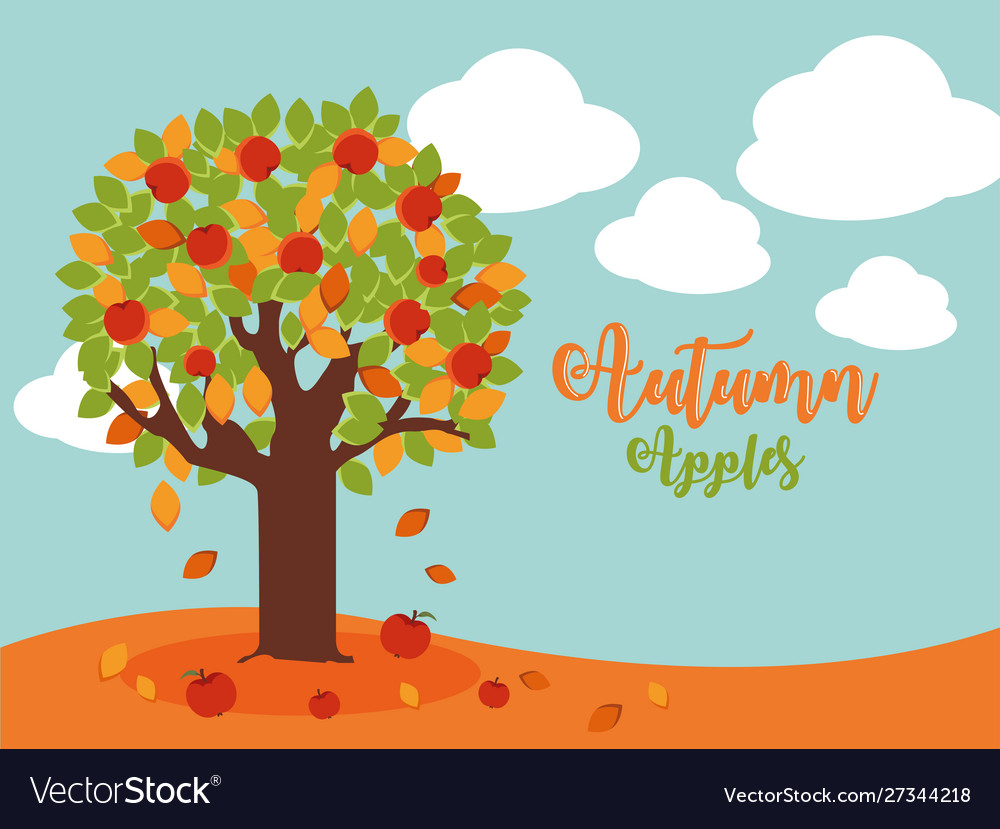 Poster autumn with tree apples Royalty Free Vector Image