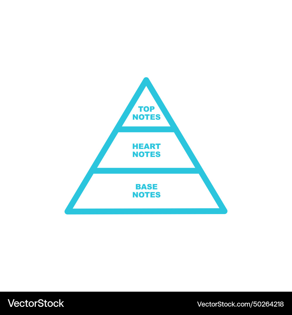 Pyramid of fragrances notes from blue icon set Vector Image