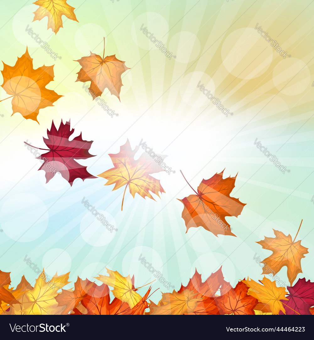 Autumn maple frame Royalty Free Vector Image - VectorStock