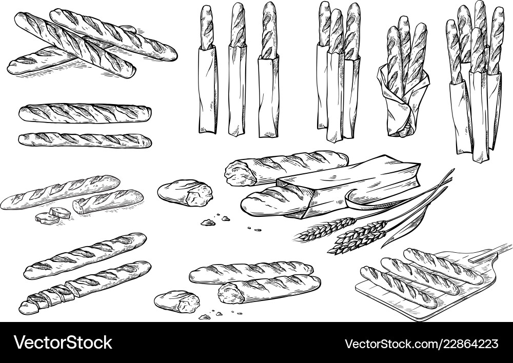 Collection of natural elements bread and flour Vector Image
