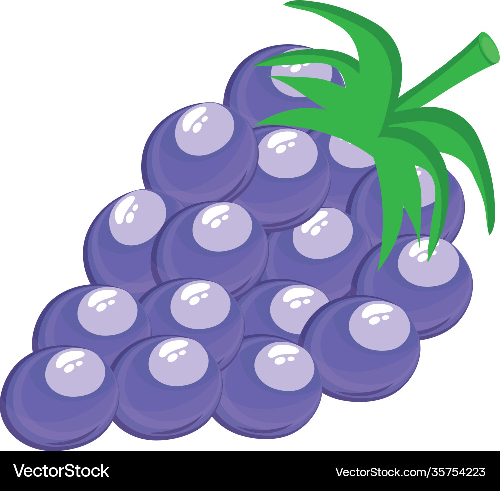Grapes delicious fresh fruit nature icon Vector Image