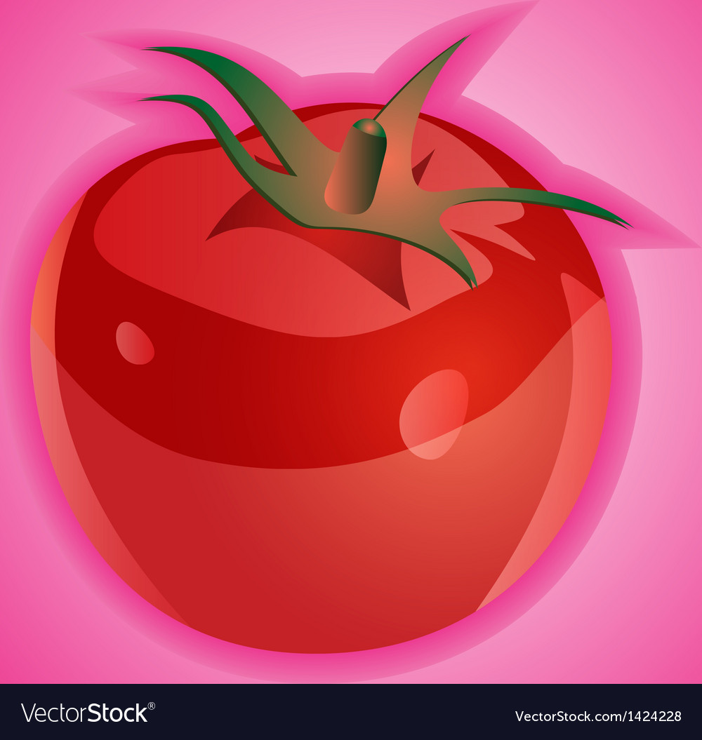 Tomato Royalty Free Vector Image - VectorStock