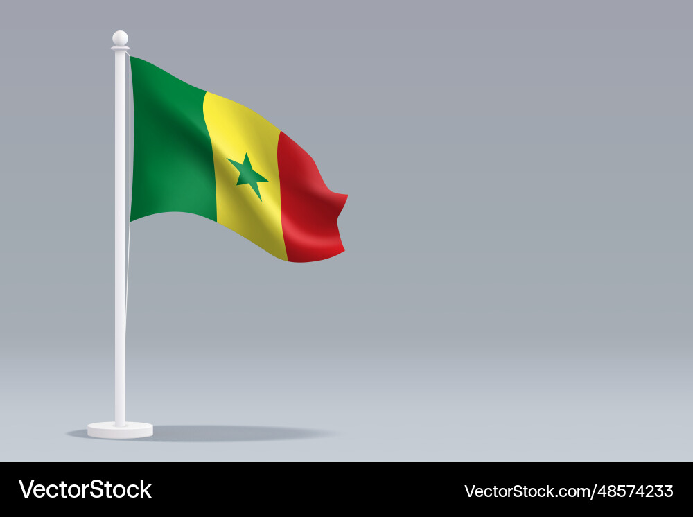 3d realistic national senegal flag isolated Vector Image