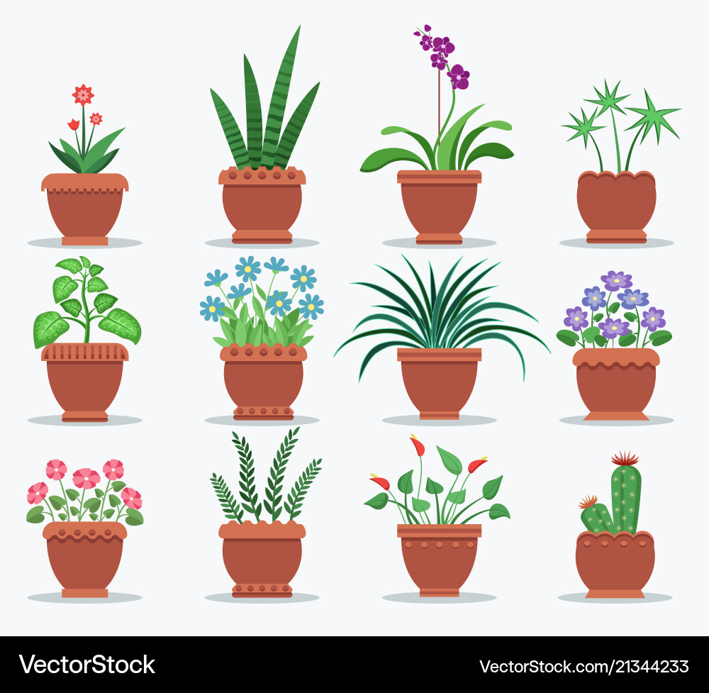 Indoor plants and flowers to refresh interior Vector Image