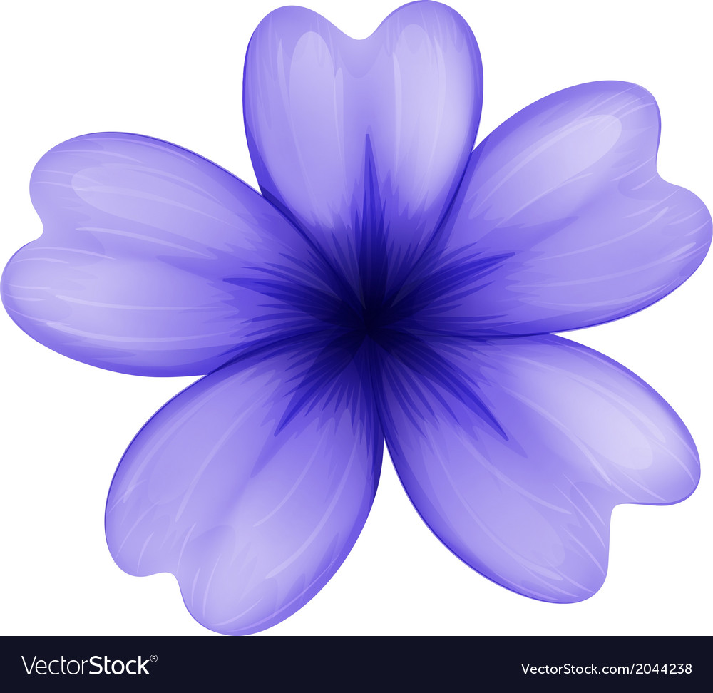 A violet flower Royalty Free Vector Image - VectorStock
