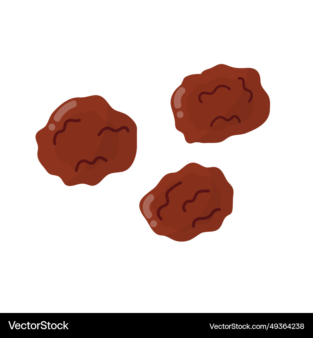 Raisins dried fruit isolated on white background Vector Image