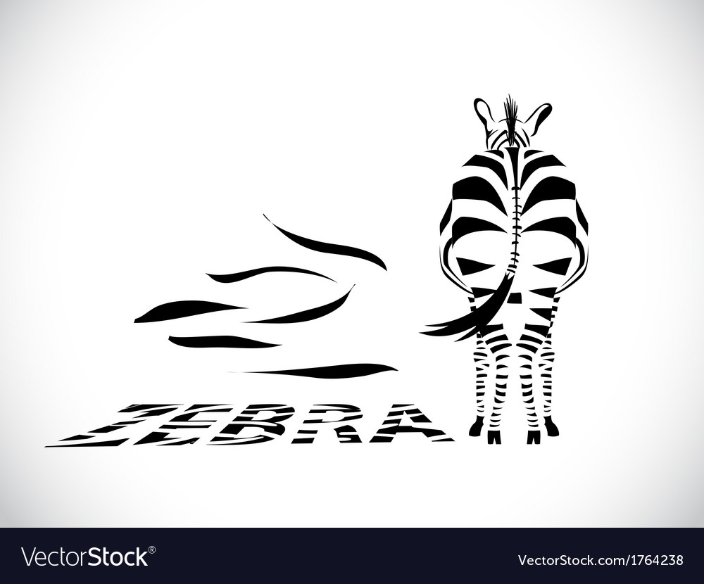 Zebra Royalty Free Vector Image - VectorStock