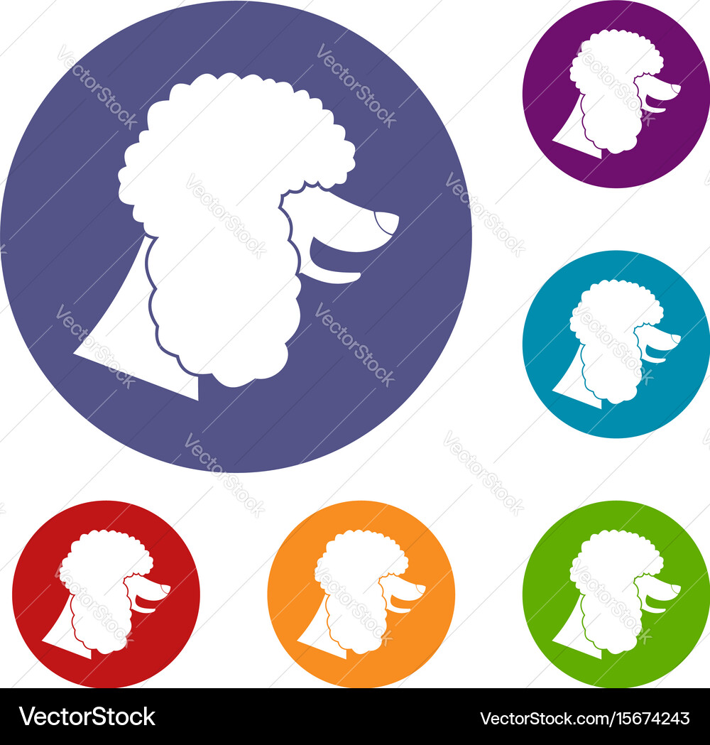 Poodle dog icons set Royalty Free Vector Image