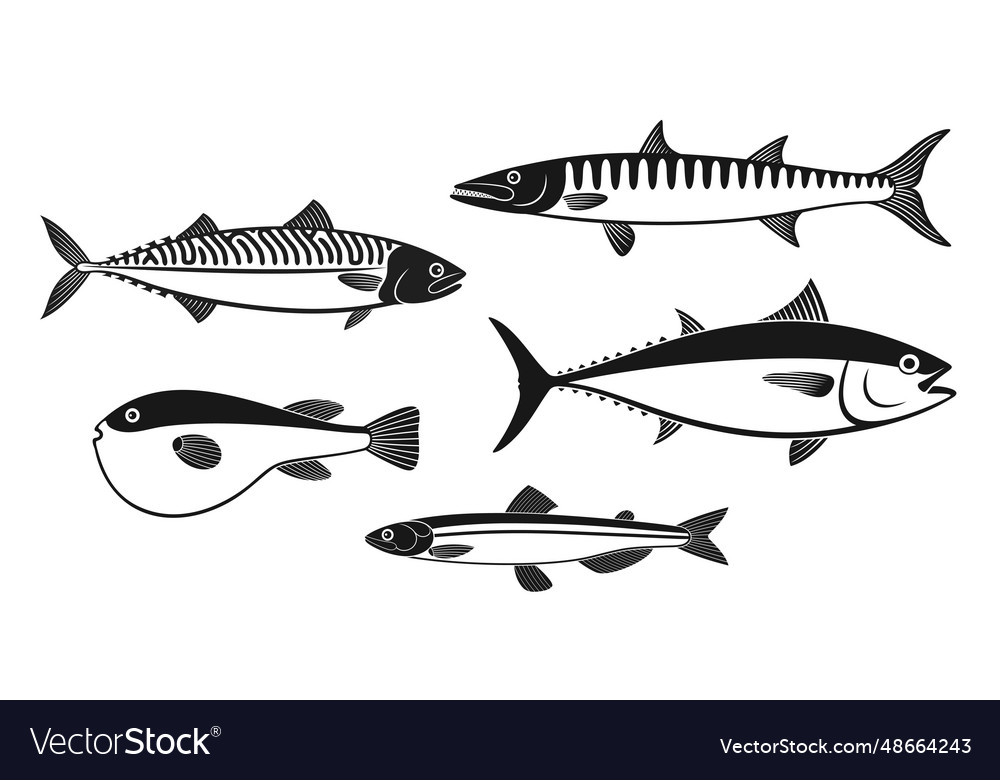 Tuna Royalty Free Vector Image - VectorStock Tuna Royalty Free Vector Image - VectorStock